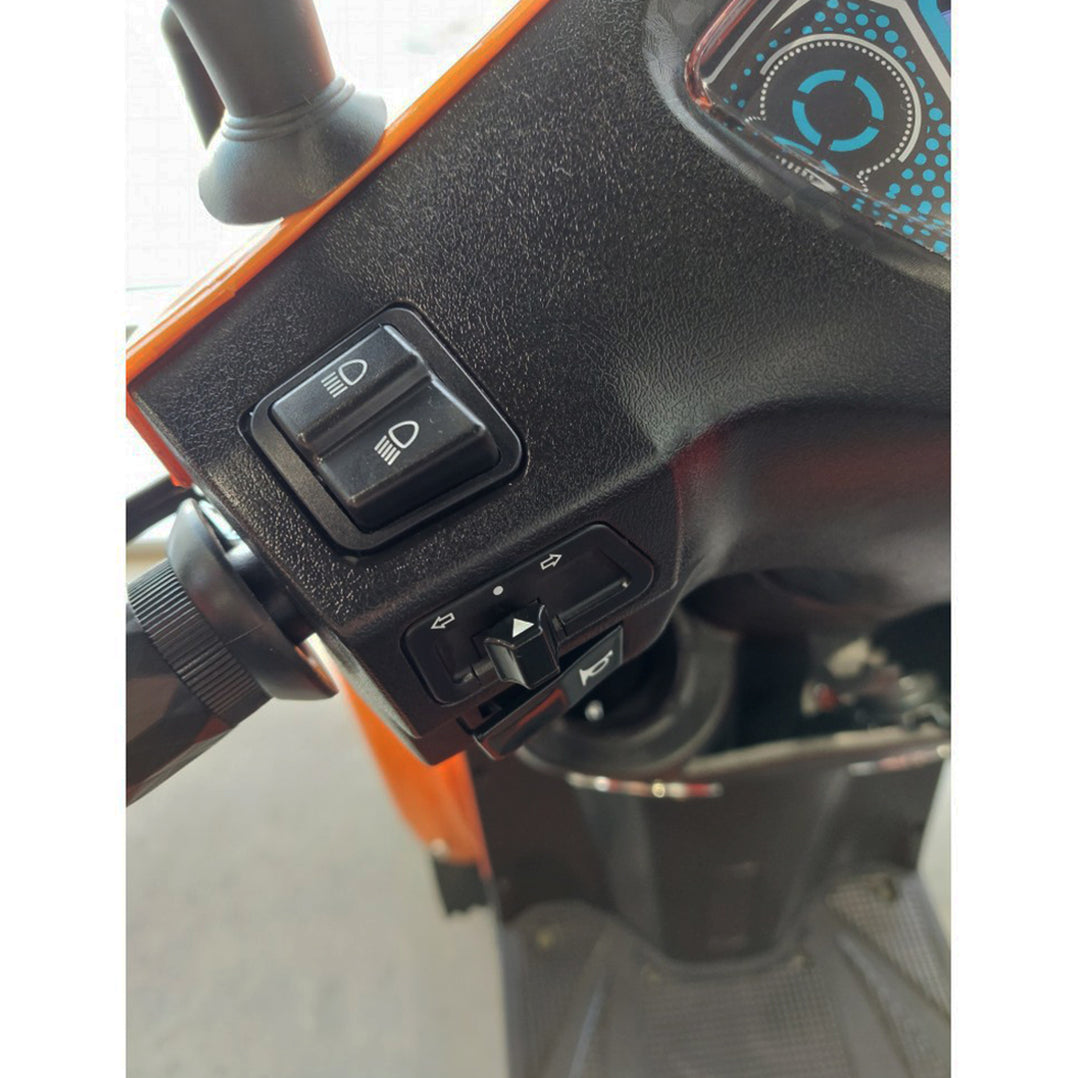 Rickshaw Deluxe, Quadriporteur avec Toit (60 Volts) (500 Watts) (20Ah ...