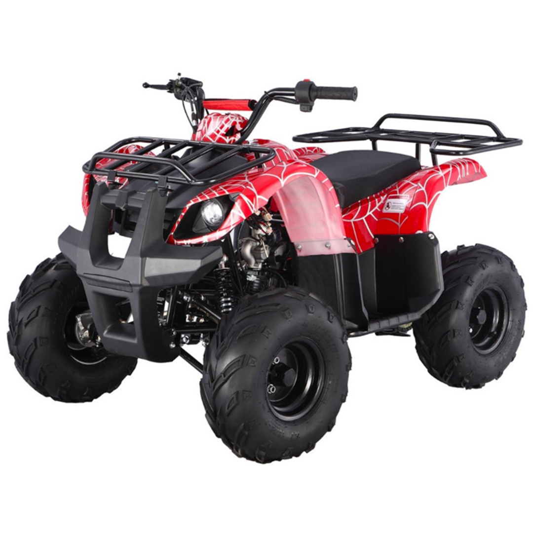 Tao Motors, ATA 125D with Tracks and Skis, Gasoline Quad (4 Stroke) (1 ...